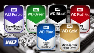 Diferența dintre WD Blue vs RED vs Purple vs Black vs Gold vs Green